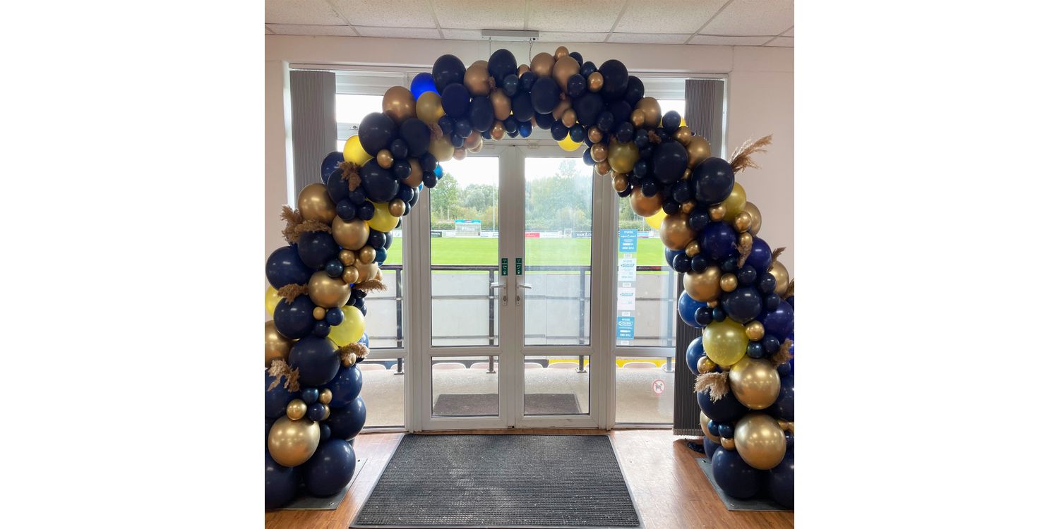 Organic Inflated Twisted Balloon Arch